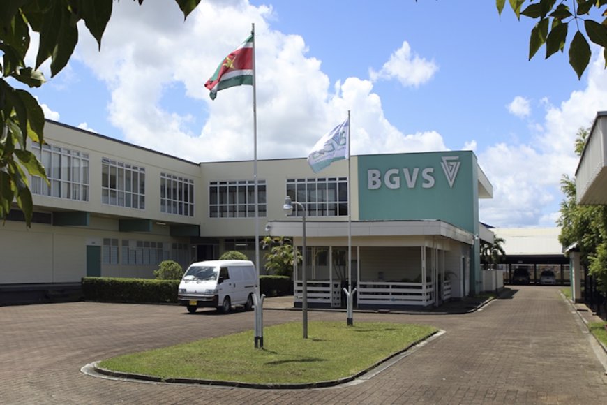 Saskia Wip benoemd tot nieuwe president-commissaris bij BGVS - Suriname ...