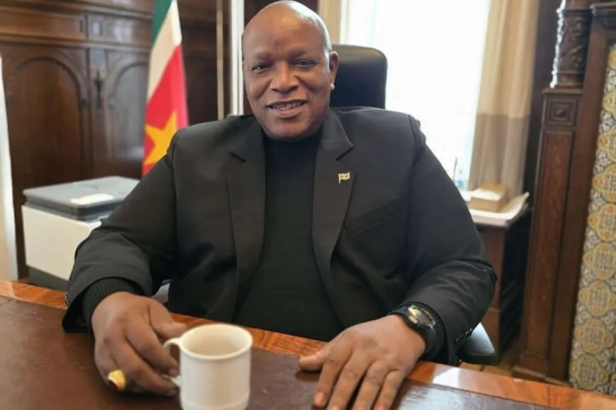 Ambassadeur Panka biedt woensdag geloofsbrieven aan koning Willem ...