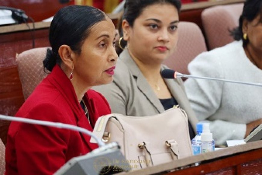 DNA hoort HvJ en PG over initiatiefwetten rechterlijke macht - Suriname ...