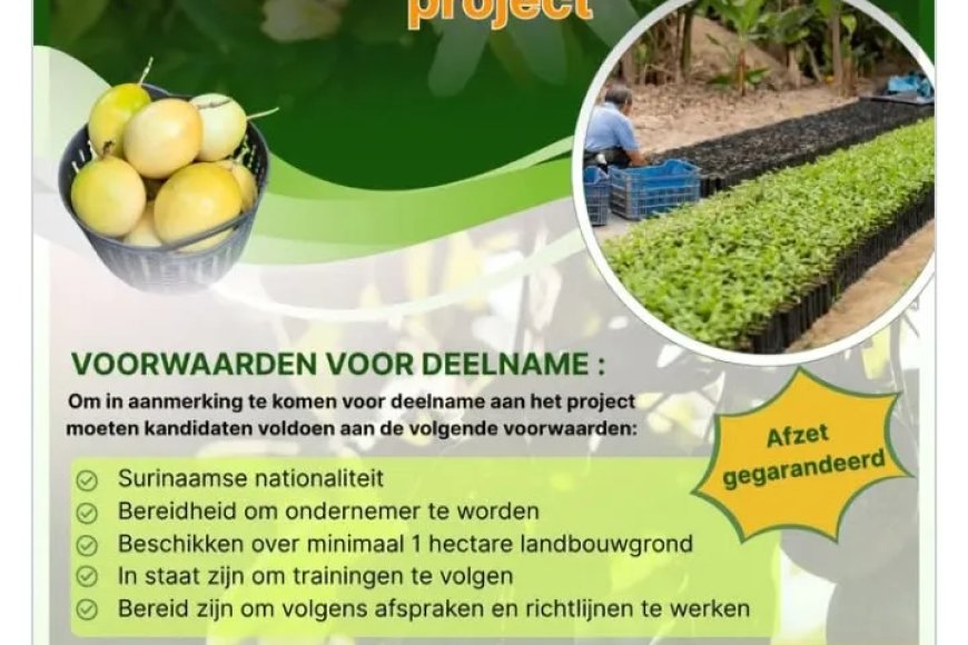 Markoesa Outgrowers Project biedt perspectief én zekerheid aan ...